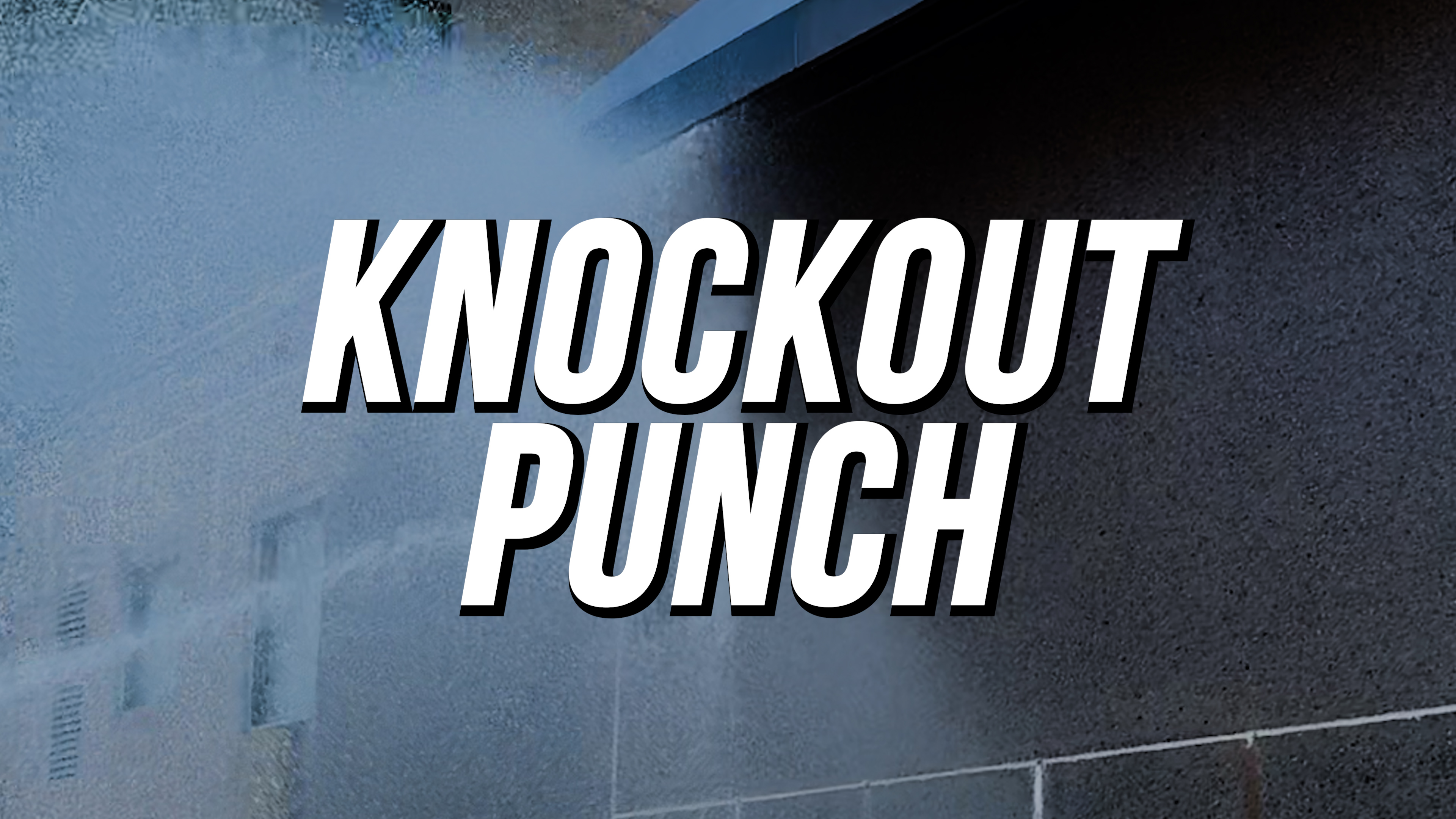 How to Use the BlitzFire Monitor for a Fast, Mobile Knockout Punch